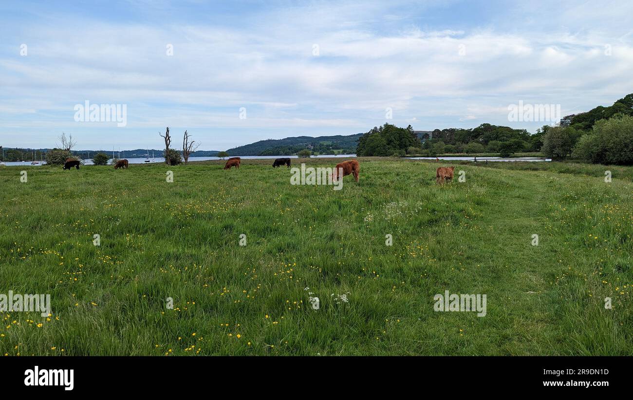 Lake District Landscape around Ambleside, Windemere and Grasmere ...