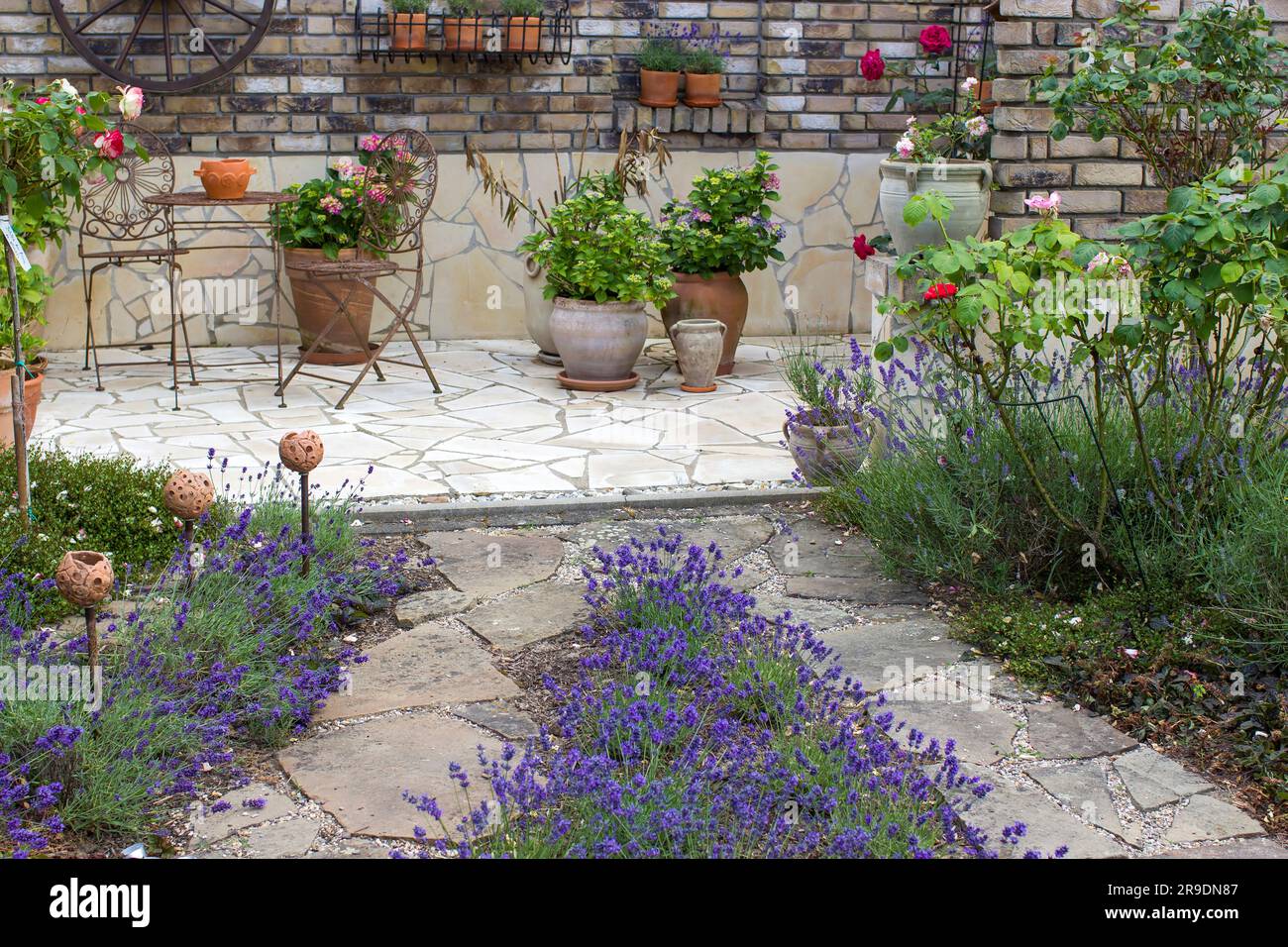 beautiful place in the garden in the mediterranean style - roses and ...