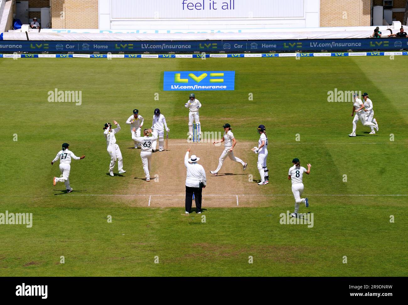 2023 ashes hi-res stock photography and images - Alamy