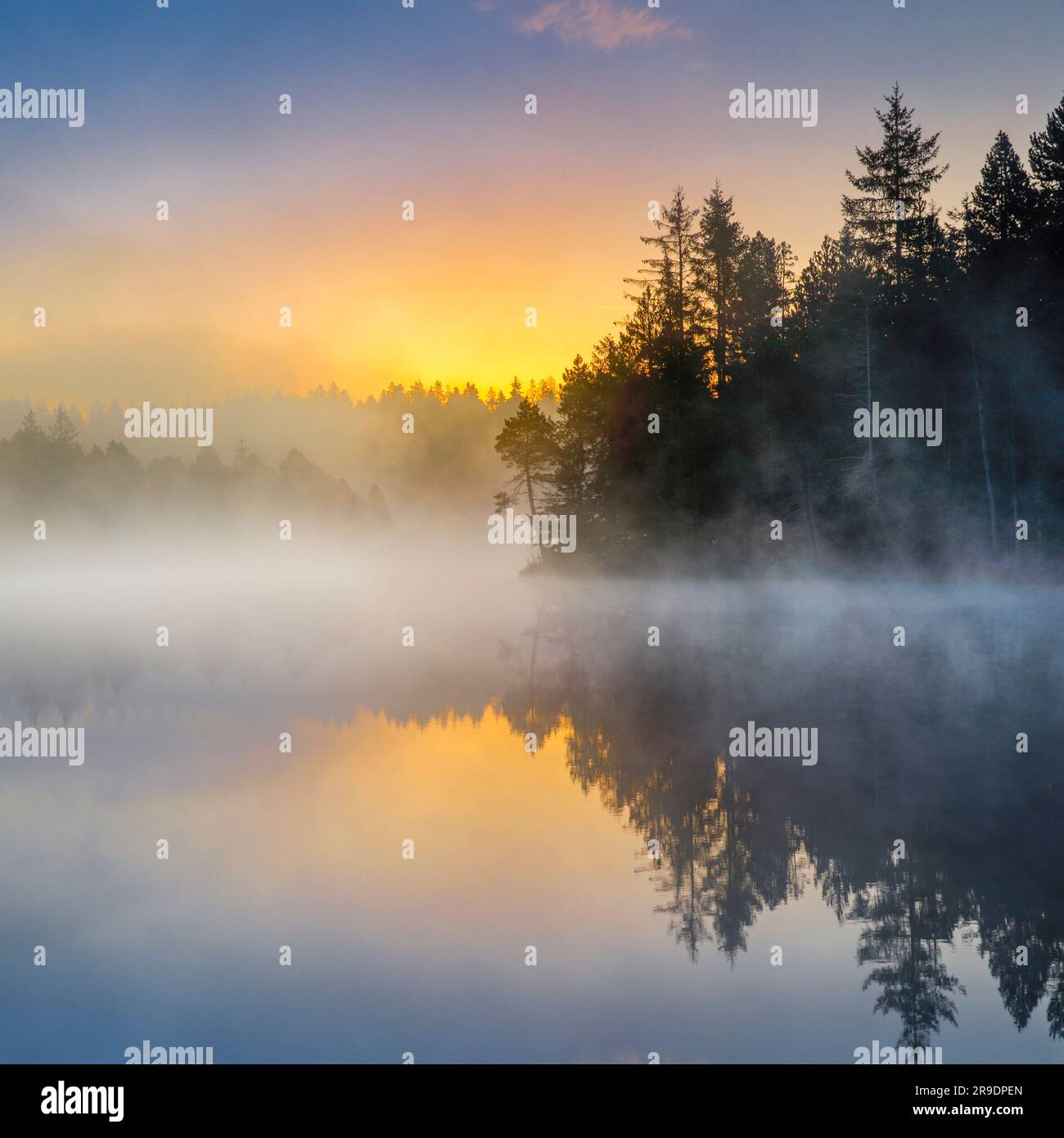 Atmospheric sunrise with mist over the calm moorland lake Etang de la ...
