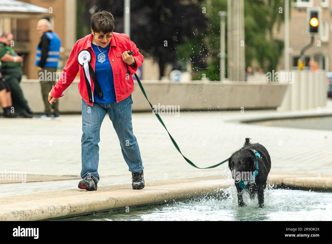 Mark ruskell msp dog hi-res stock photography and images - Alamy