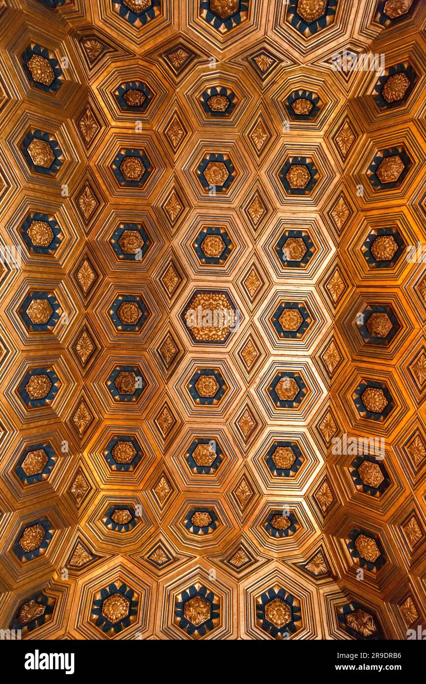 Ceiling detail from the historical Alcazar of Segovia, a medieval ...