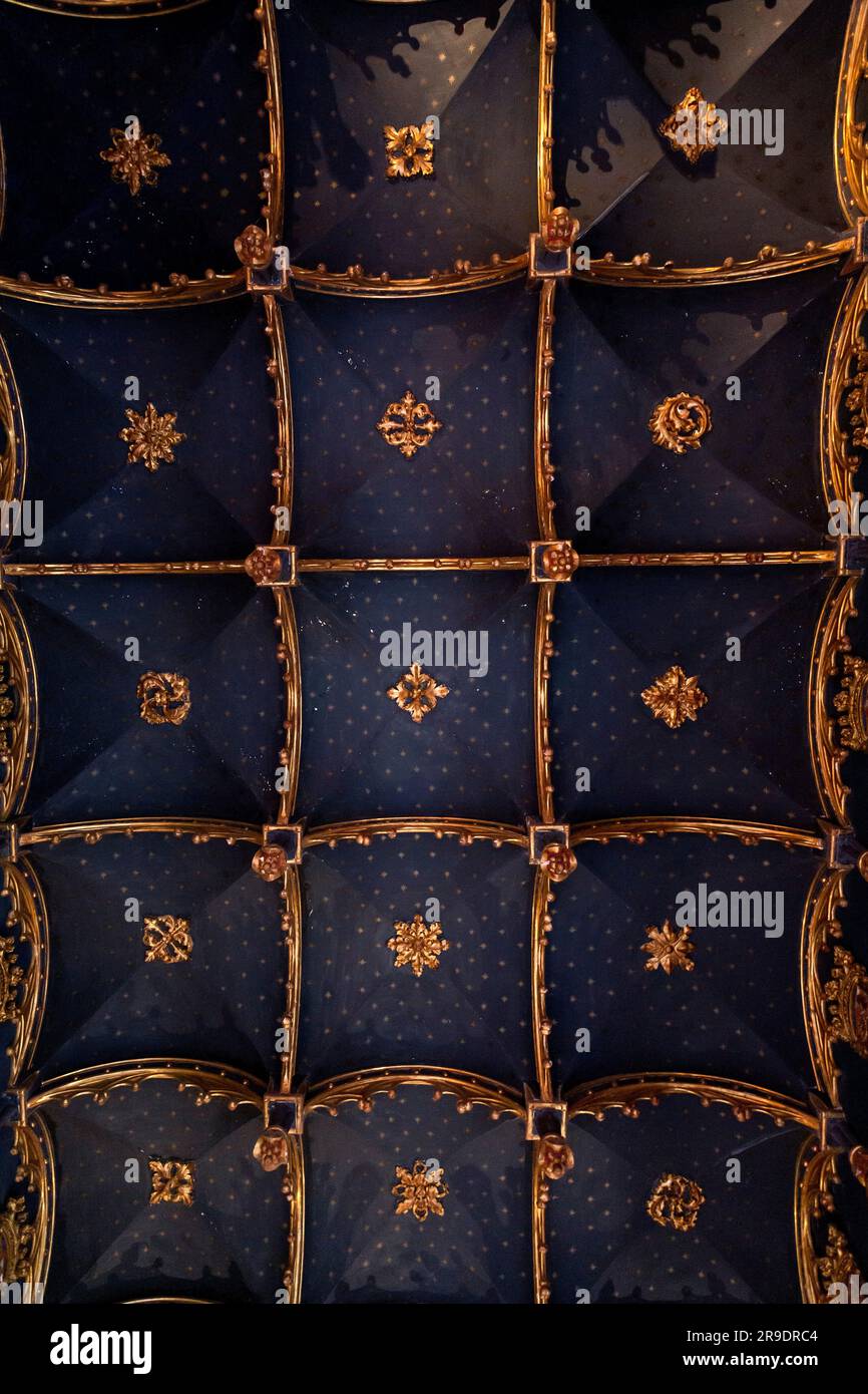 Ceiling detail from the historical Alcazar of Segovia, a medieval ...