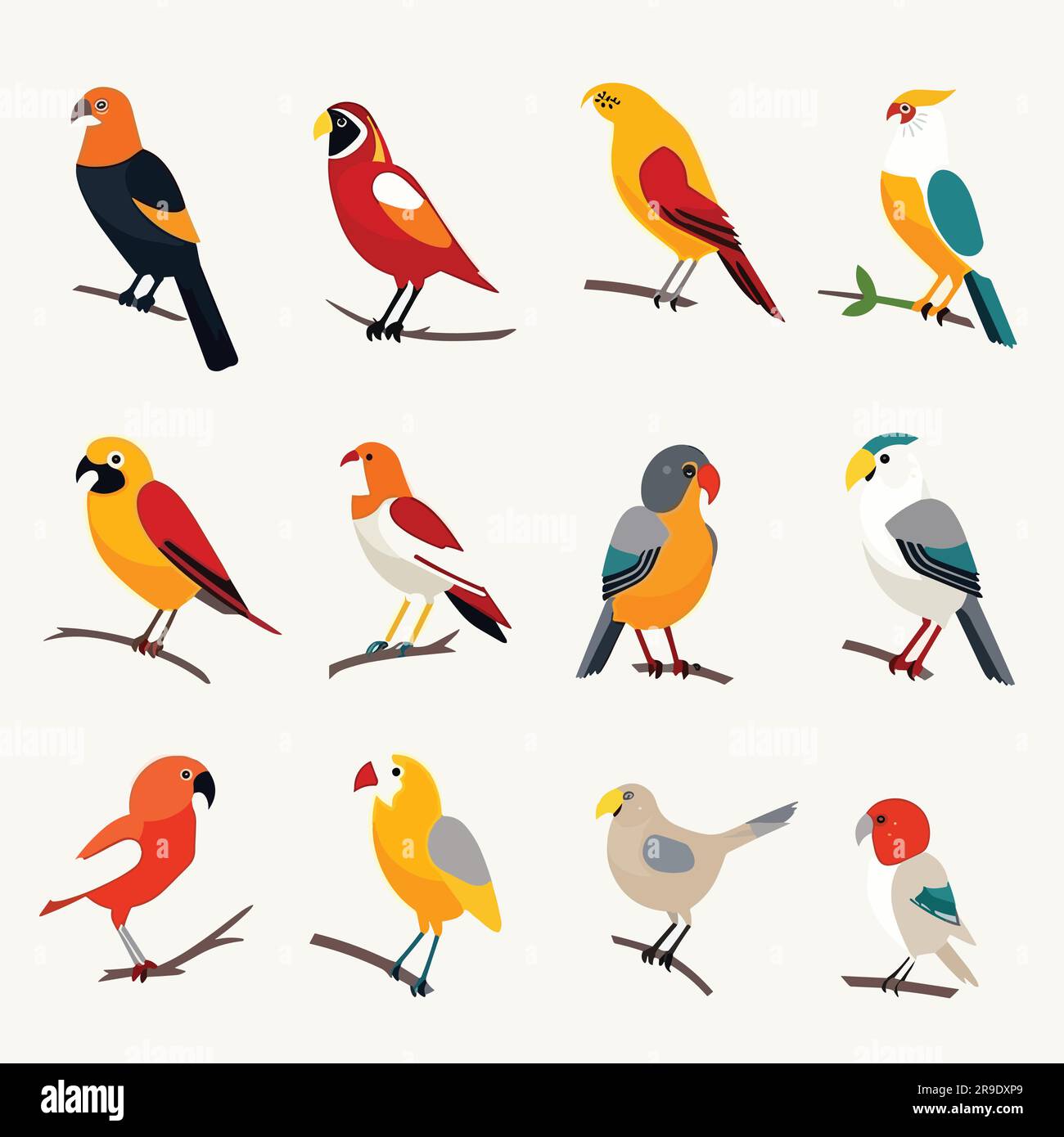 Zoo parrots Stock Vector Images - Alamy
