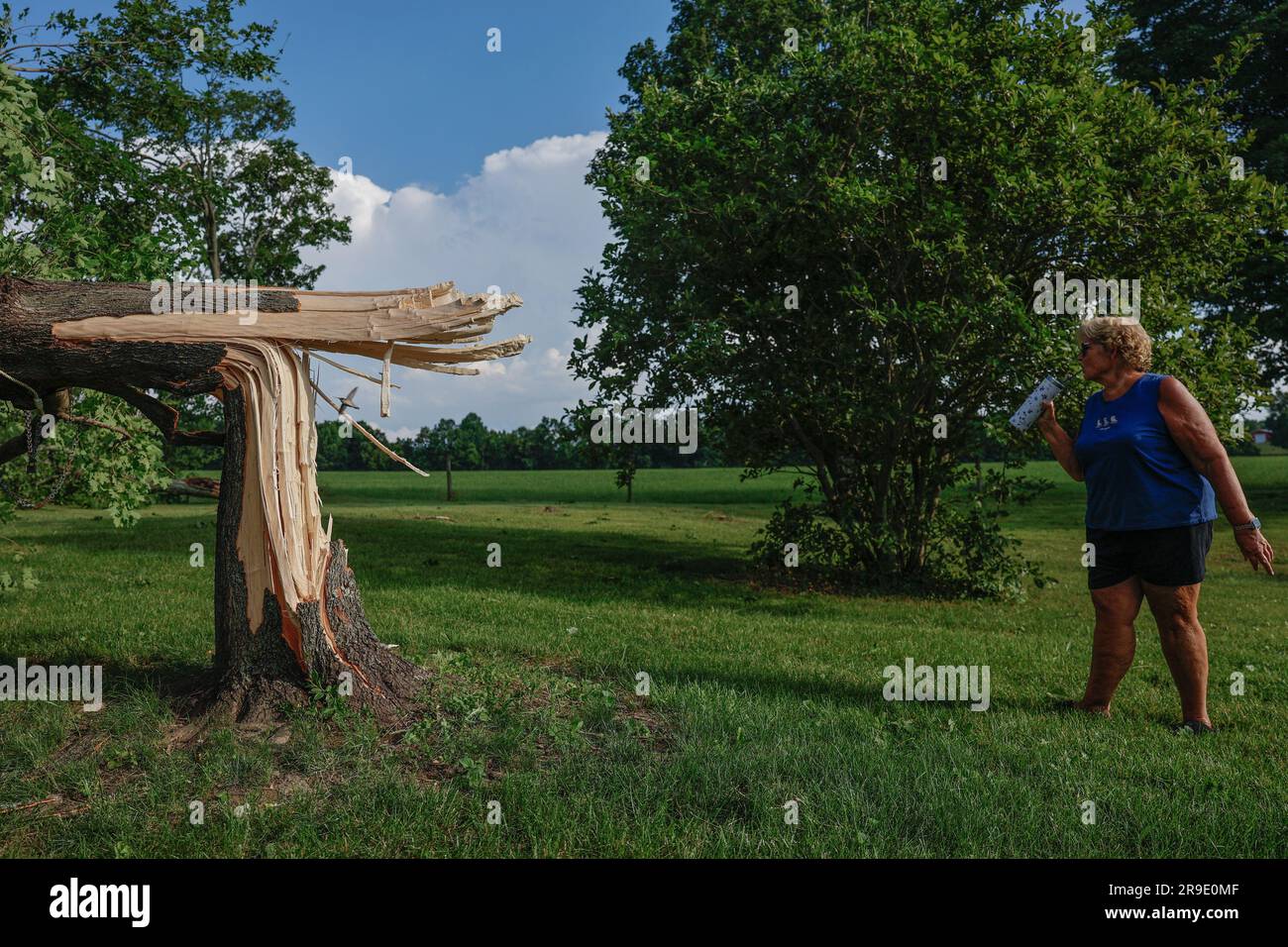 Fulcher residence hi-res stock photography and images - Alamy