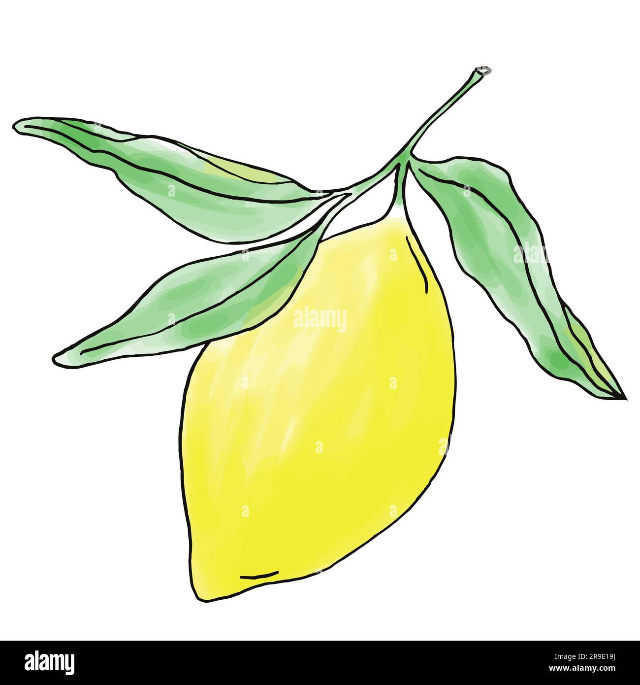 vector illustrations of lemons and leaves for banners, cards, flyers ...