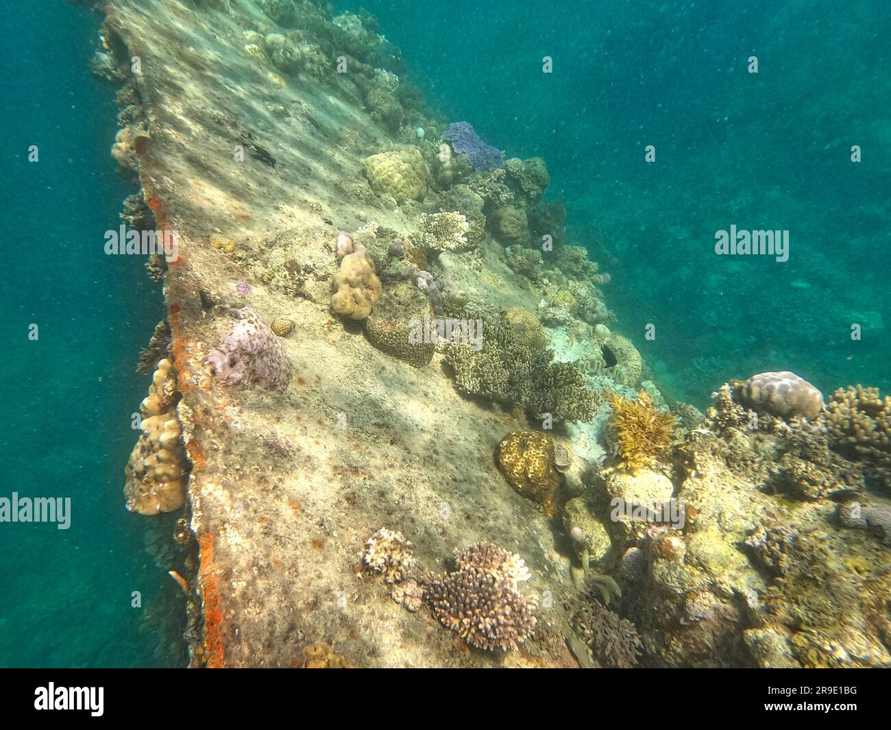 Japanese shipwreck, Coron islands, Palawan, Philippines, Asia Stock ...