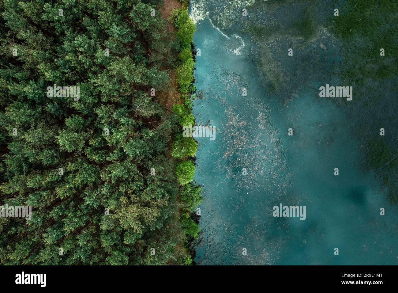 Aerial drone view of lake and green lush forest Stock Photo - Alamy Aerial drone view of lake and green lush forest Stock Photo - Alamy
