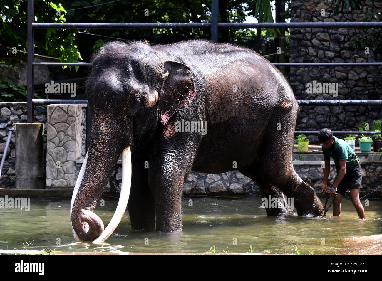 National zoological gardens of sri lanka hi-res stock photography and ...