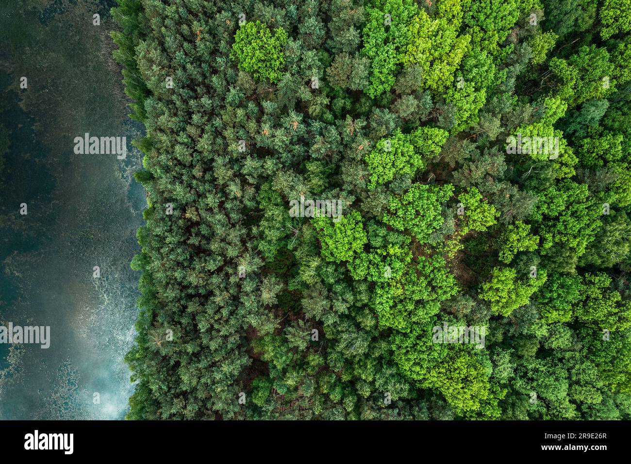 Areal drone top down view hi-res stock photography and images - Alamy