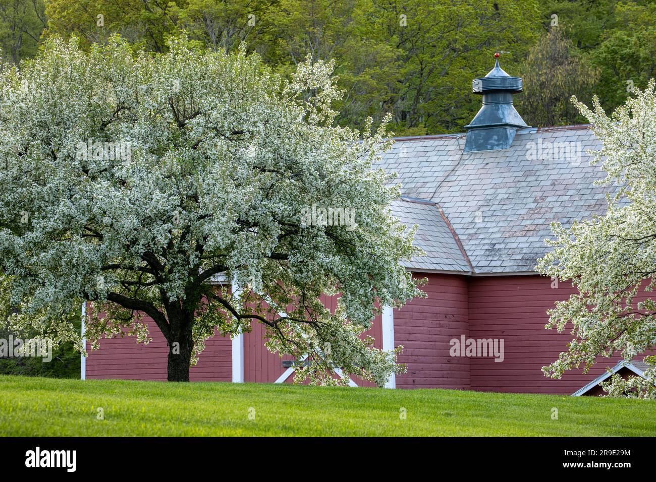 Bennington vermont spring hi-res stock photography and images - Alamy