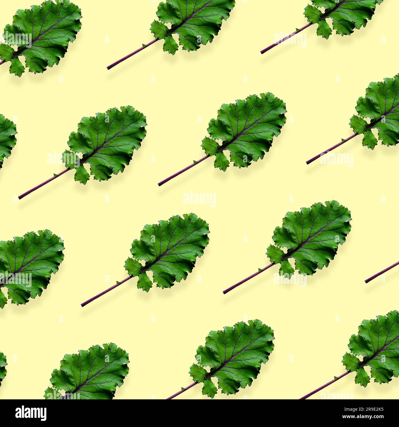 Square pattern of kale leaves on light yellow background Stock Photo ...