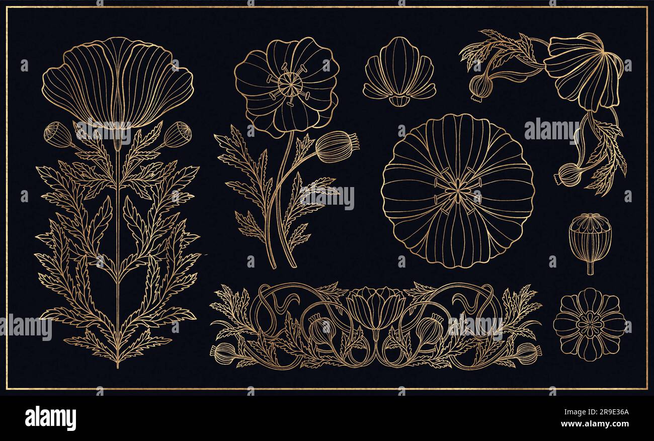 Floral poppy plant in art nouveau 1920-1930. Hand drawn in a linear ...