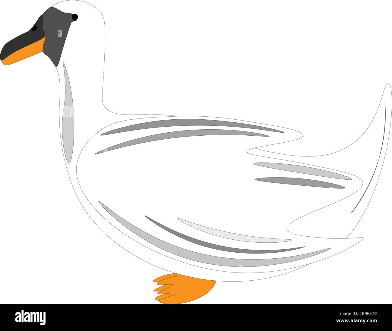 Baby animal swan cygnet Stock Vector Images - Alamy