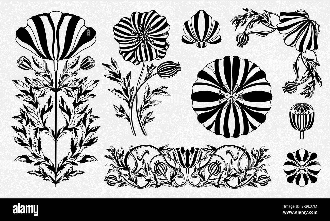 Floral poppy plant in art nouveau 1920-1930. Hand drawn in a linear ...
