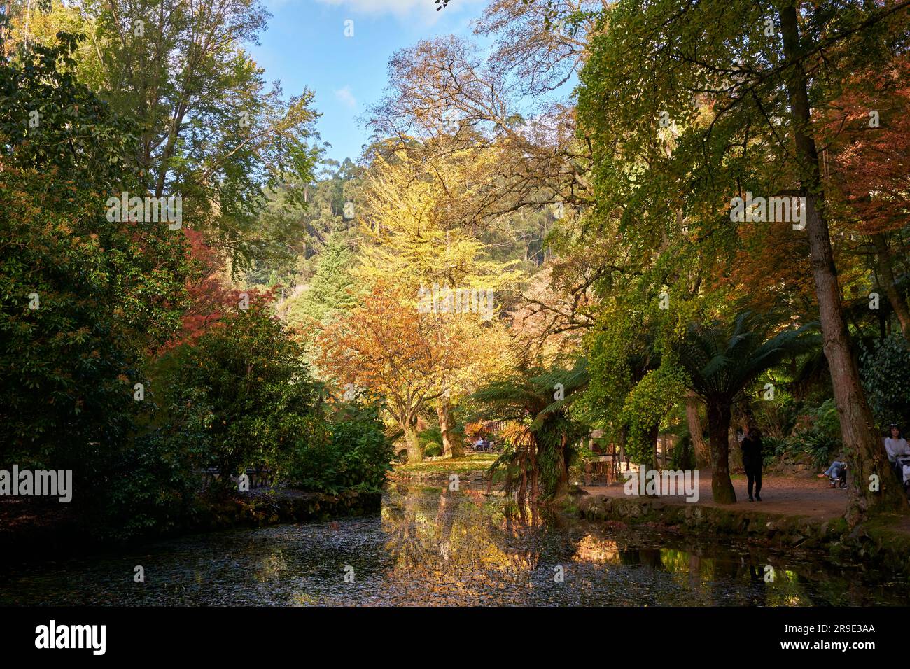Calm morning during fall in Melbourne, Australia Stock Photo - Alamy