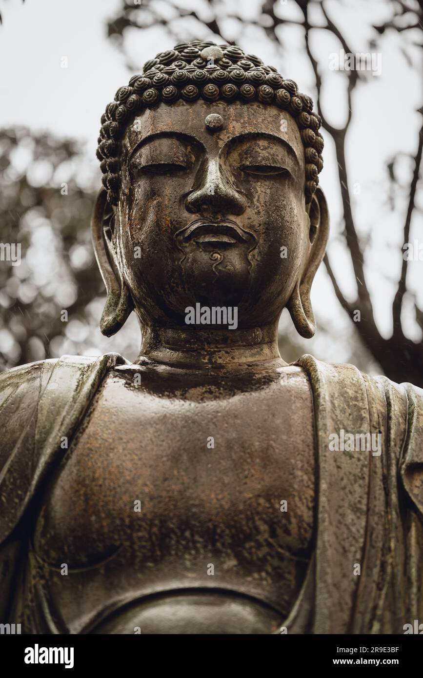 A majestic Japanese statue of the Buddha in front of a towering ...