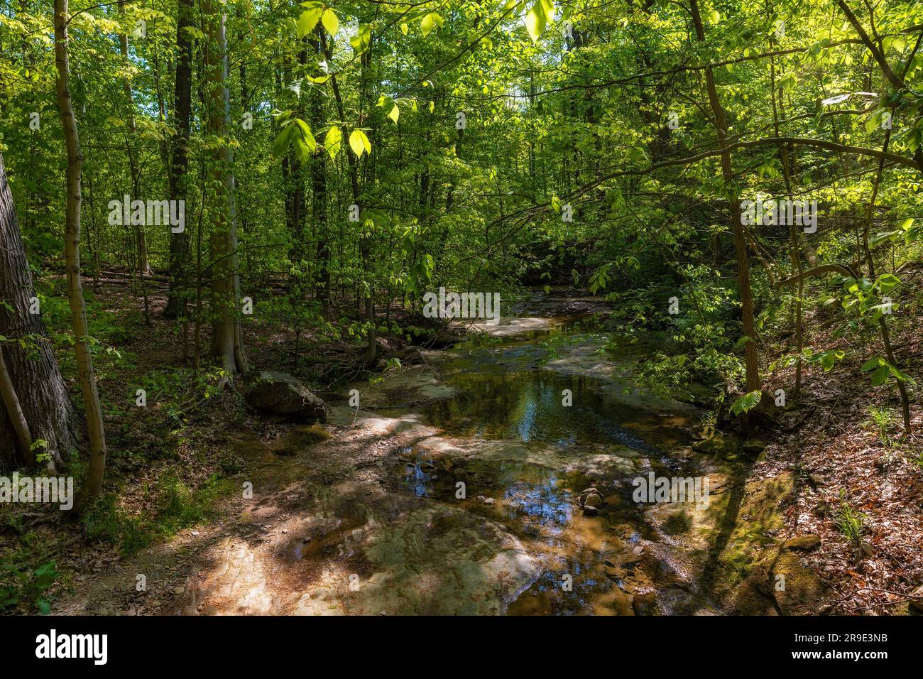 Hiking to Blue Hen Falls in Cuyahoga Valley National Park in Ohio, USA ...