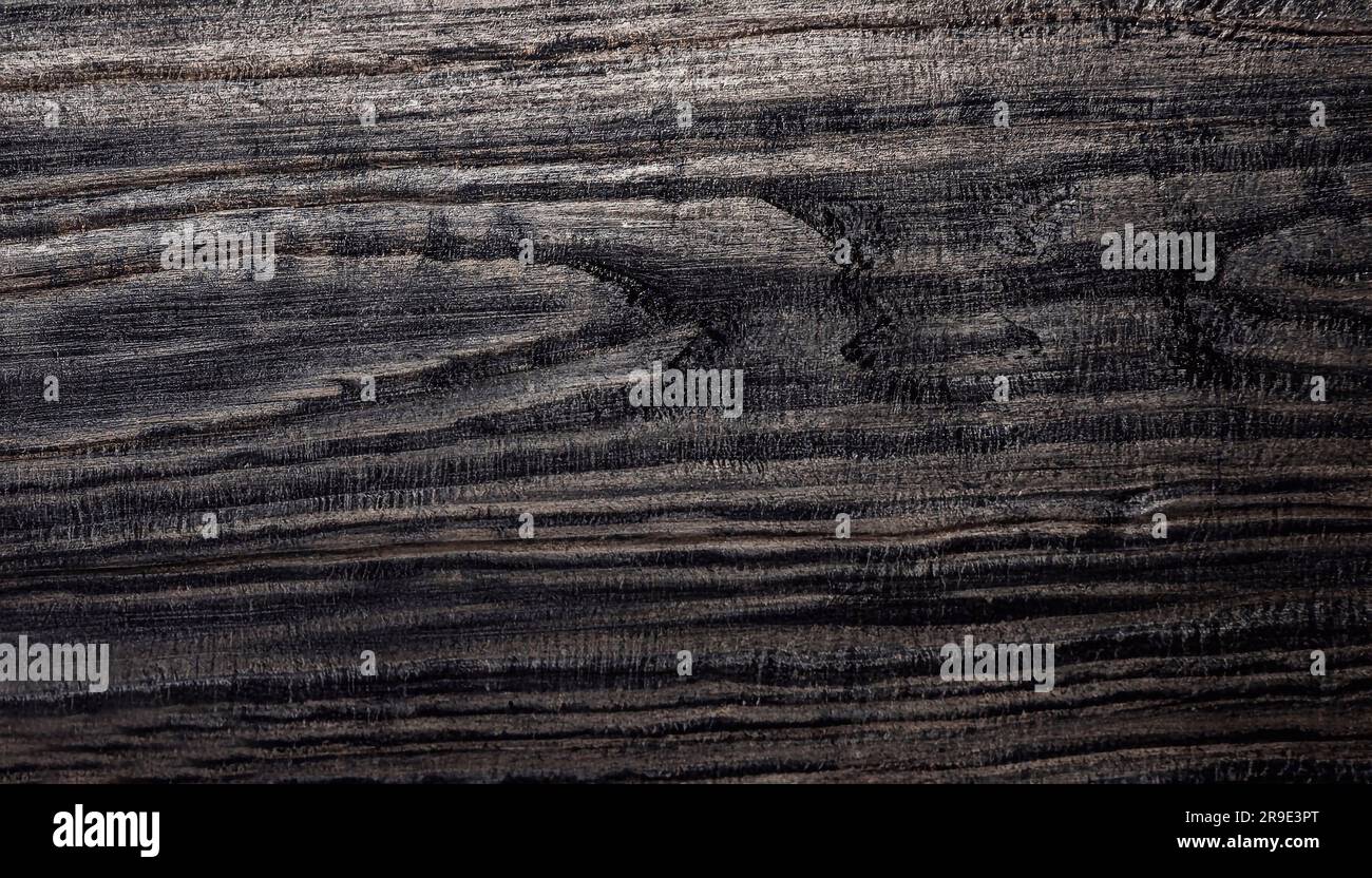 Real ebony wood texture for high impact natural feeling. Extremely high ...