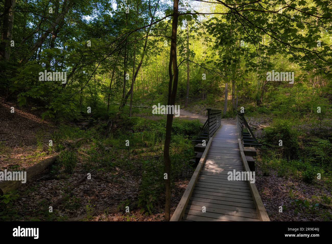 Hiking to Blue Hen Falls in Cuyahoga Valley National Park in Ohio, USA ...