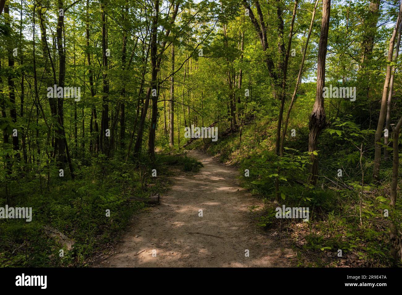 Hiking to Blue Hen Falls in Cuyahoga Valley National Park in Ohio, USA ...
