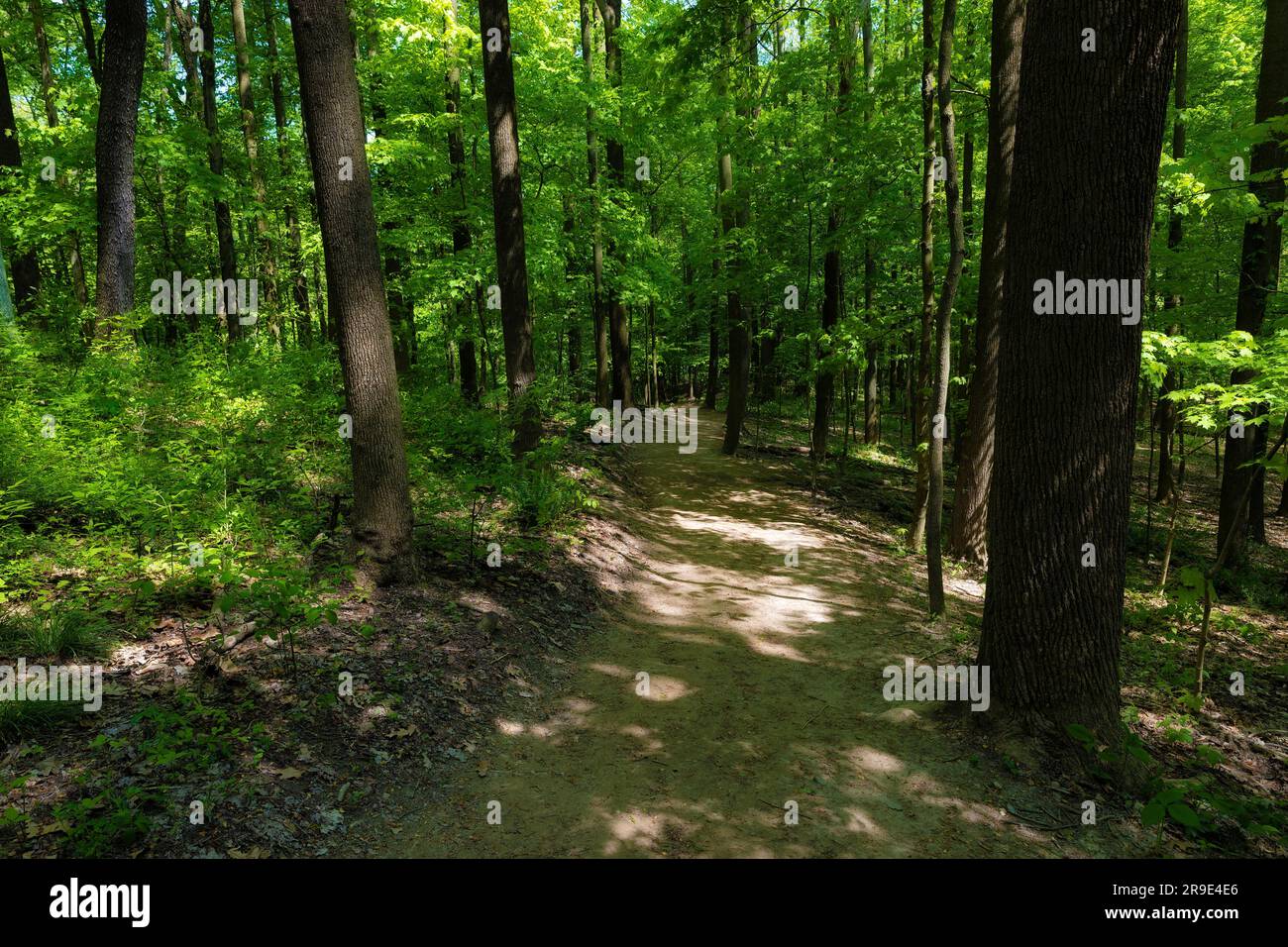 Hiking to Blue Hen Falls in Cuyahoga Valley National Park in Ohio, USA ...