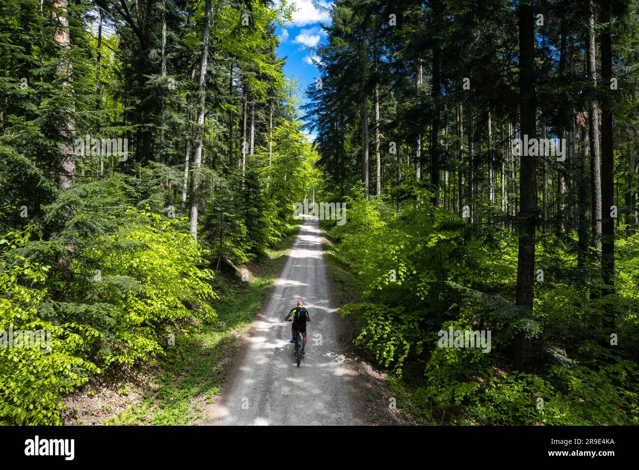 Woodland ride drone hi-res stock photography and images - Alamy