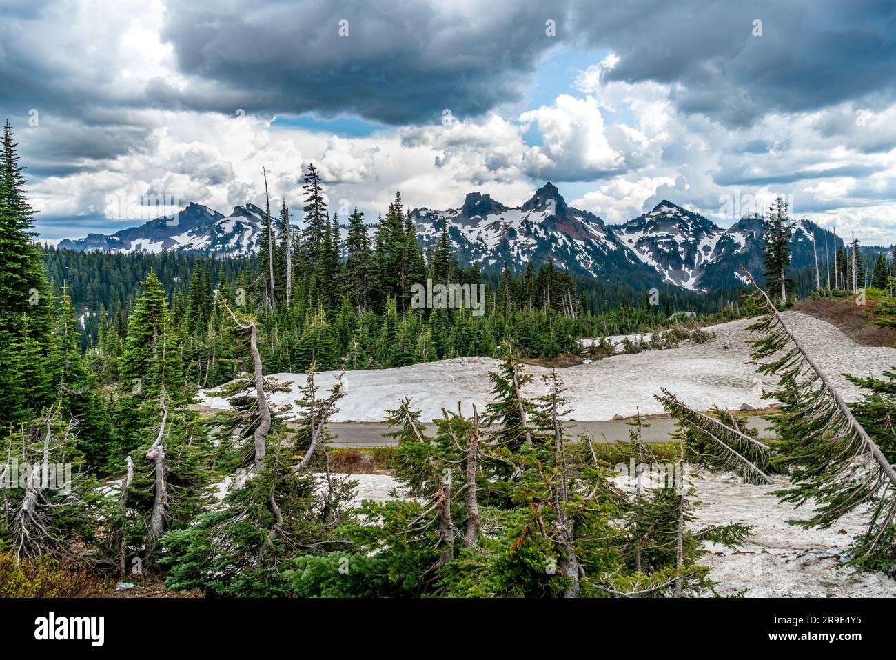 A veiw of the Cascade Mountain Range from Mount Rainier in Washington ...