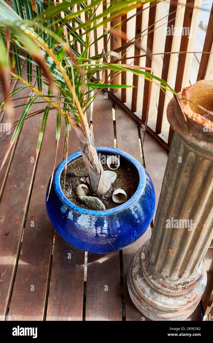 Garden pottery shells hi-res stock photography and images - Alamy