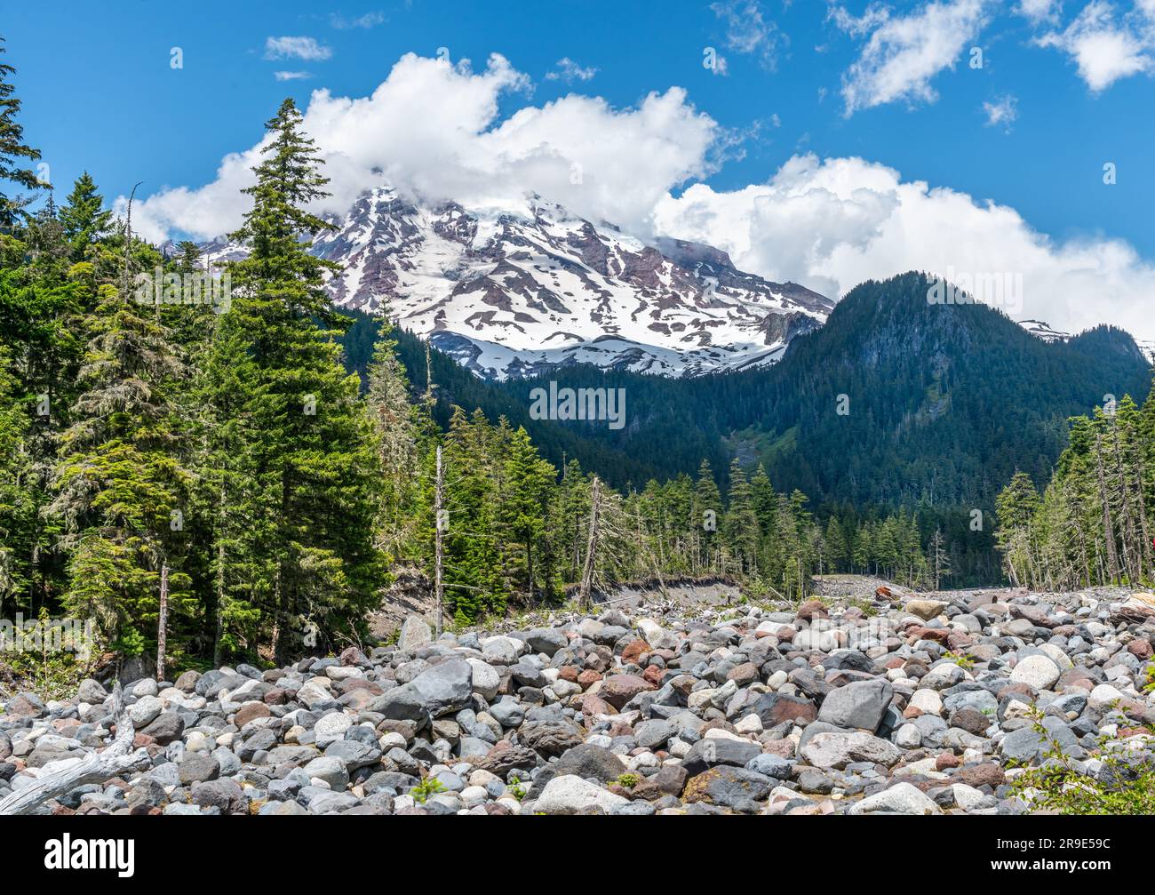 A view of riverbed rocks and Mount Rainier in Washington State Stock ...