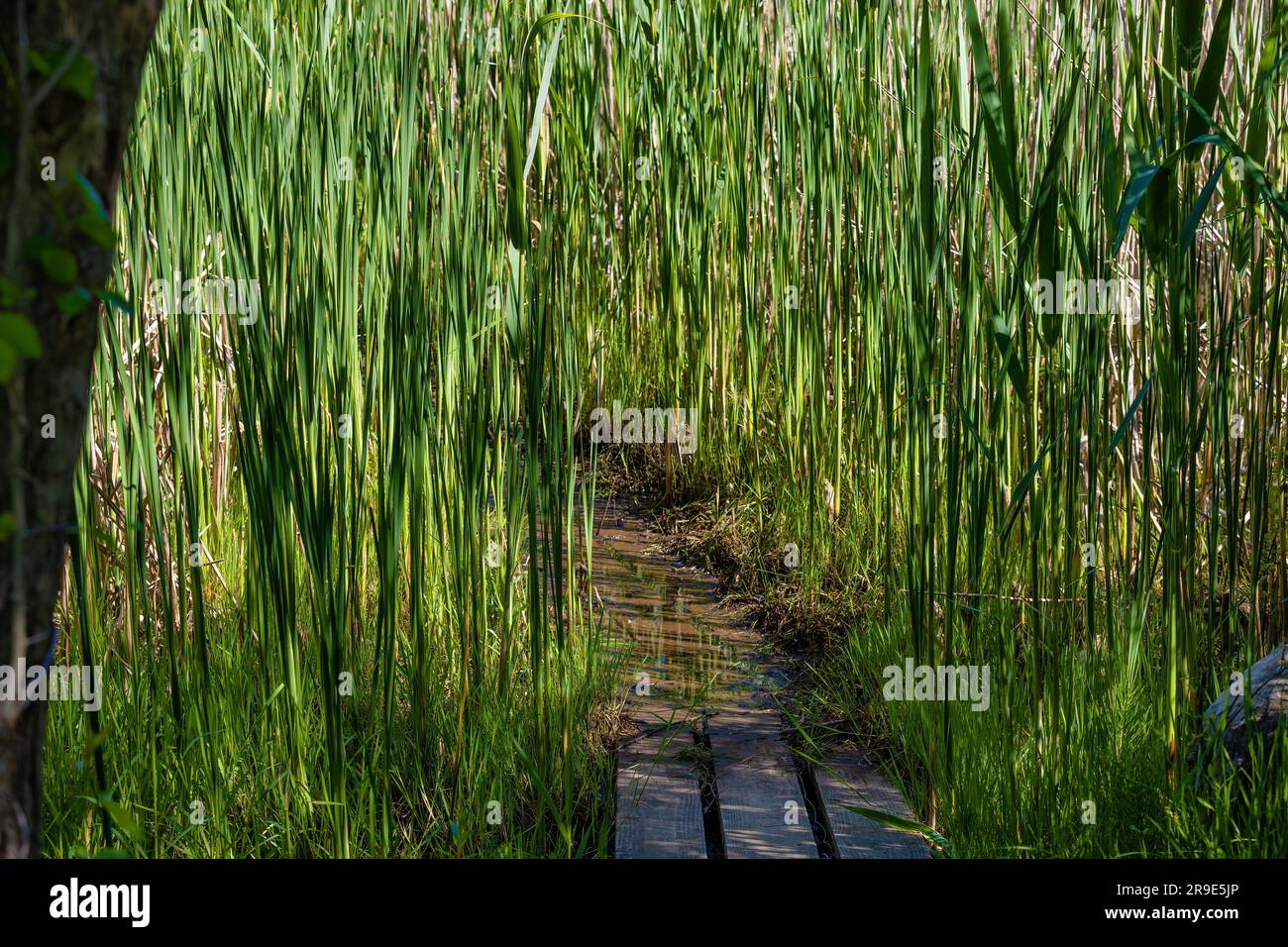 Sights seen along the Towpath Trail where mules use to pull boats ...
