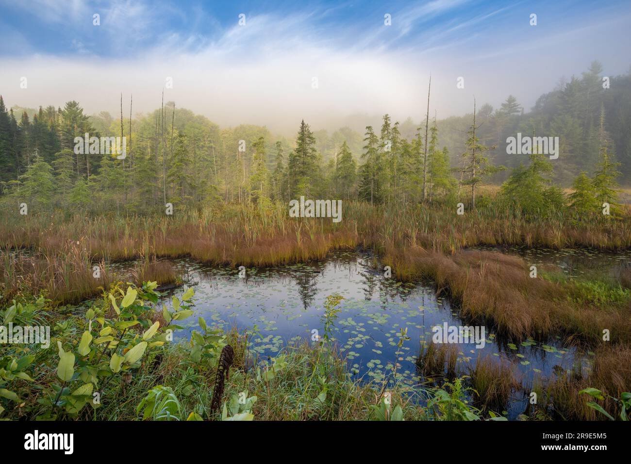 Coburn pond hi-res stock photography and images - Alamy