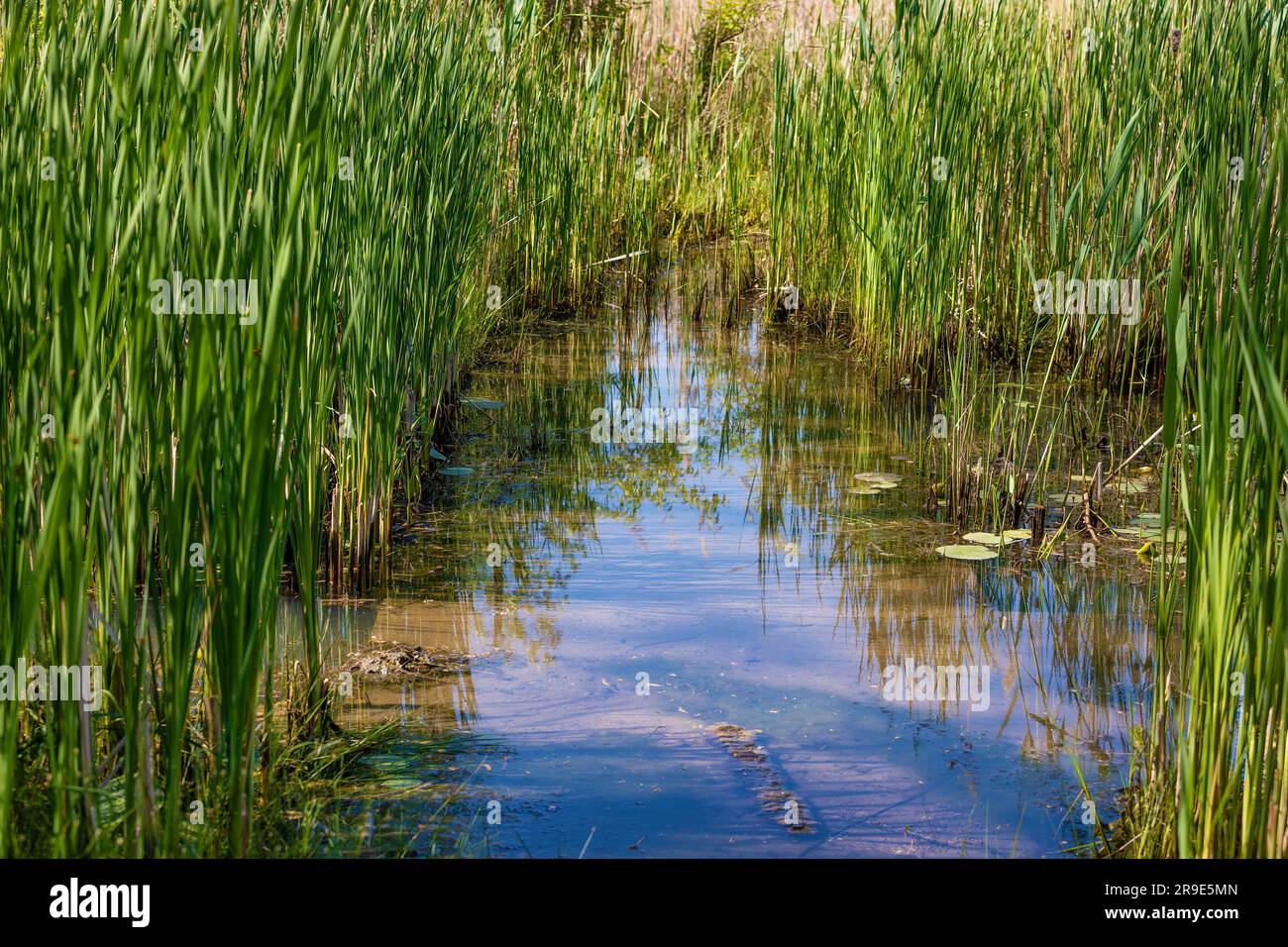Sights seen along the Towpath Trail where mules use to pull boats ...