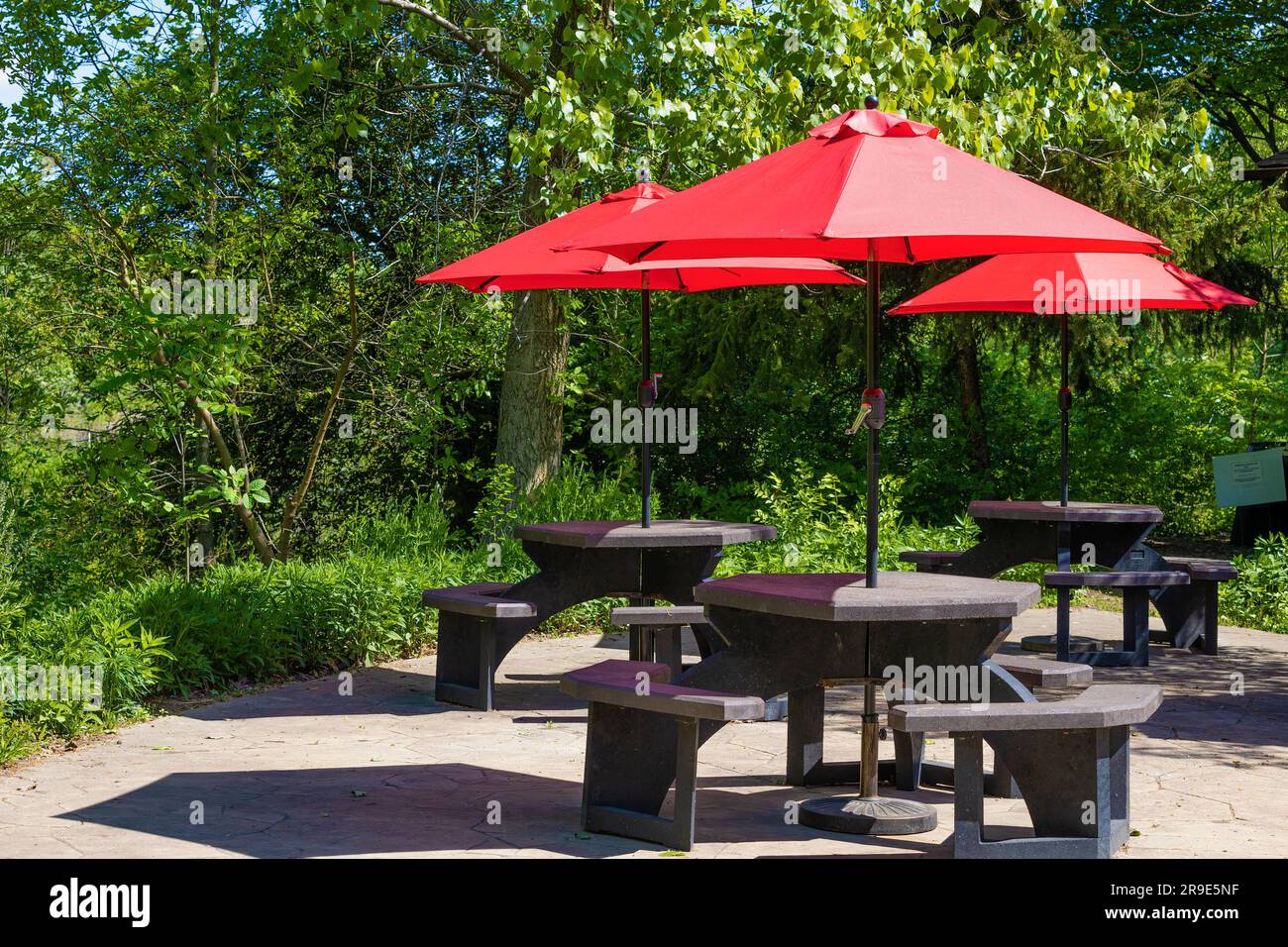 Sights seen along the Towpath Trail where mules use to pull boats ...