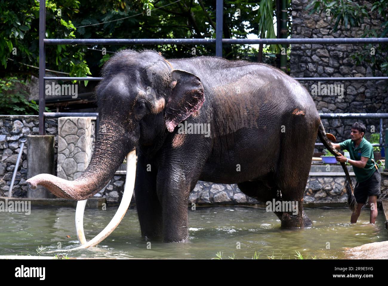 Colombo Zoo Sri Lanka