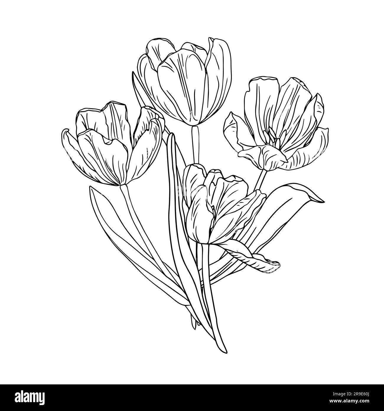 Spring line art flower ,isolate on white background Easter design for ...