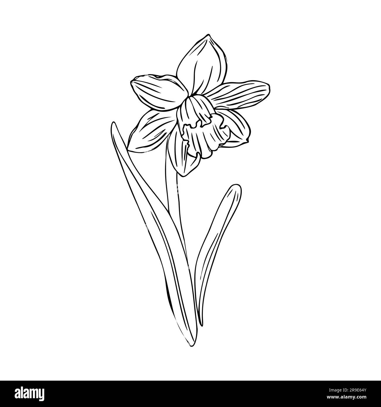 Spring line art flower ,isolate on white background Easter design for ...