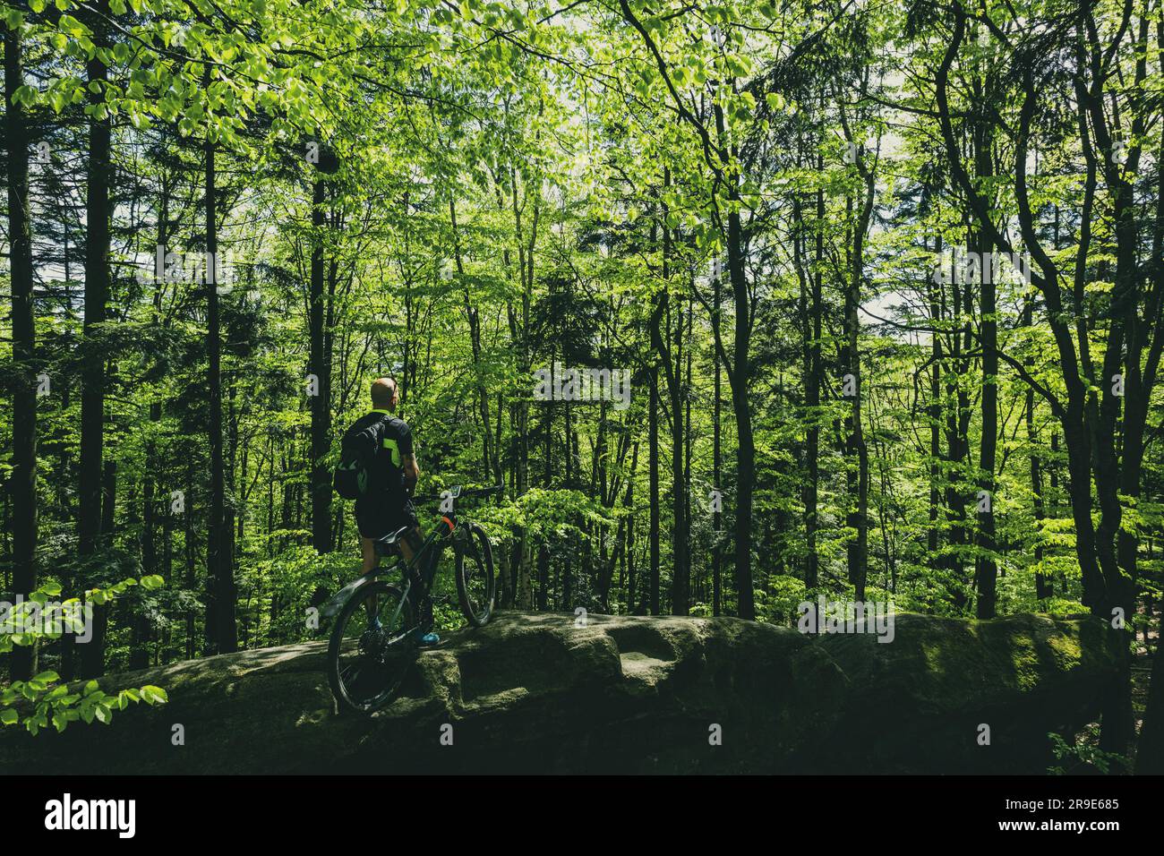 Woodland ride drone hi-res stock photography and images - Alamy