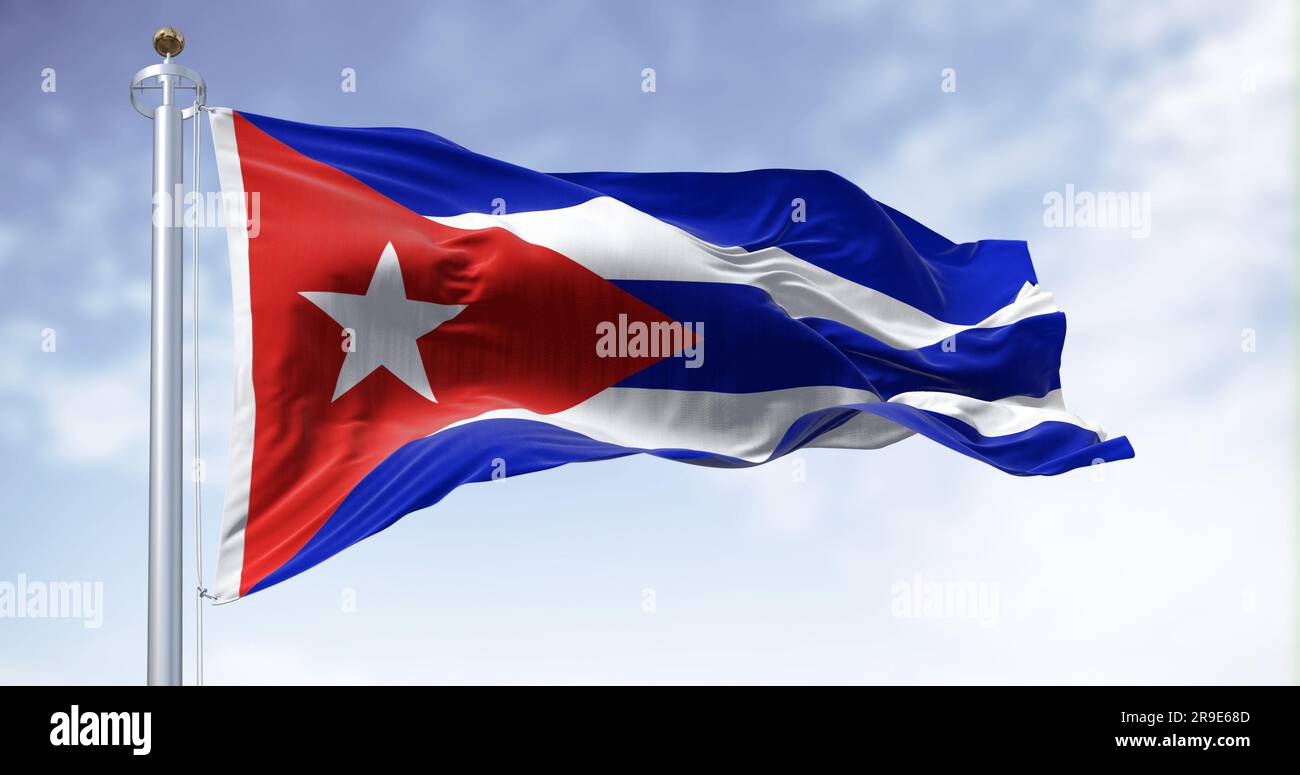 Triangle Flag Waving