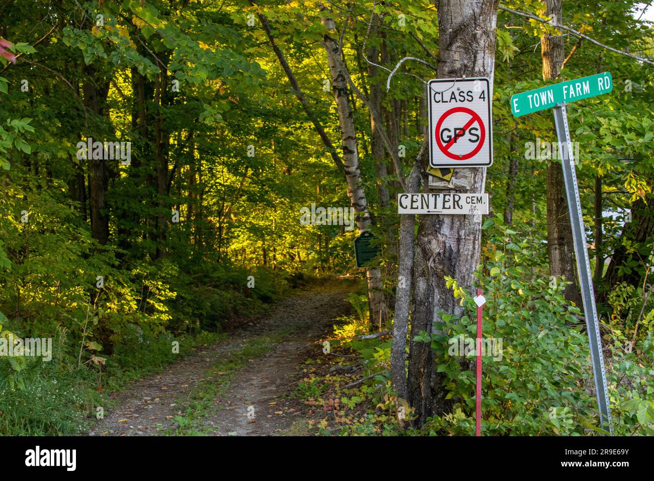 Old albany map hi-res stock photography and images - Alamy