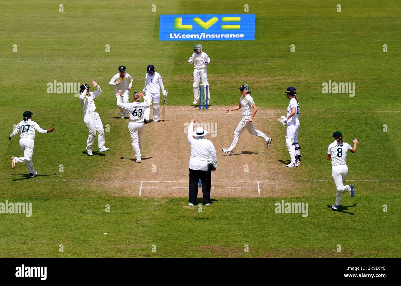 2023 ashes hi-res stock photography and images - Alamy