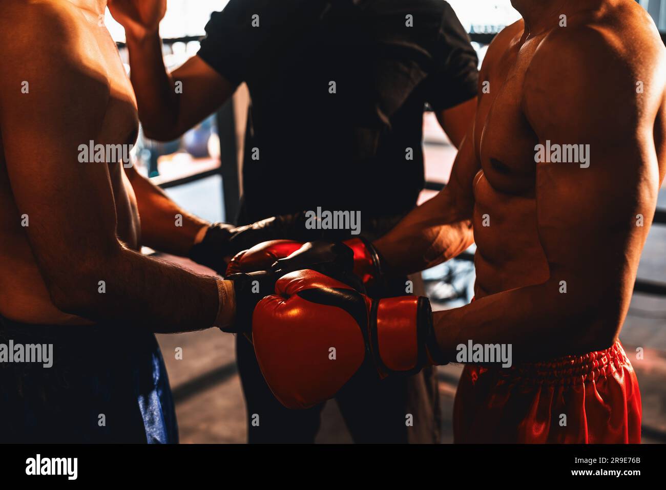 Boxer match two hi-res stock photography and images - Alamy