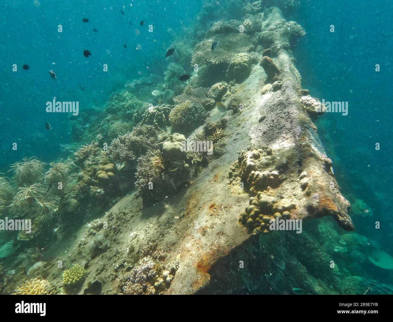 Japanese shipwreck, Coron islands, Palawan, Philippines, Asia Stock ...