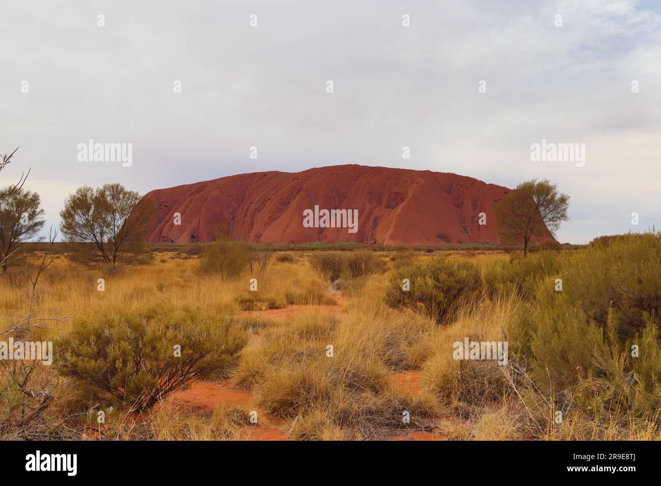 Ayers Rock - Australia Stock Photo - Alamy