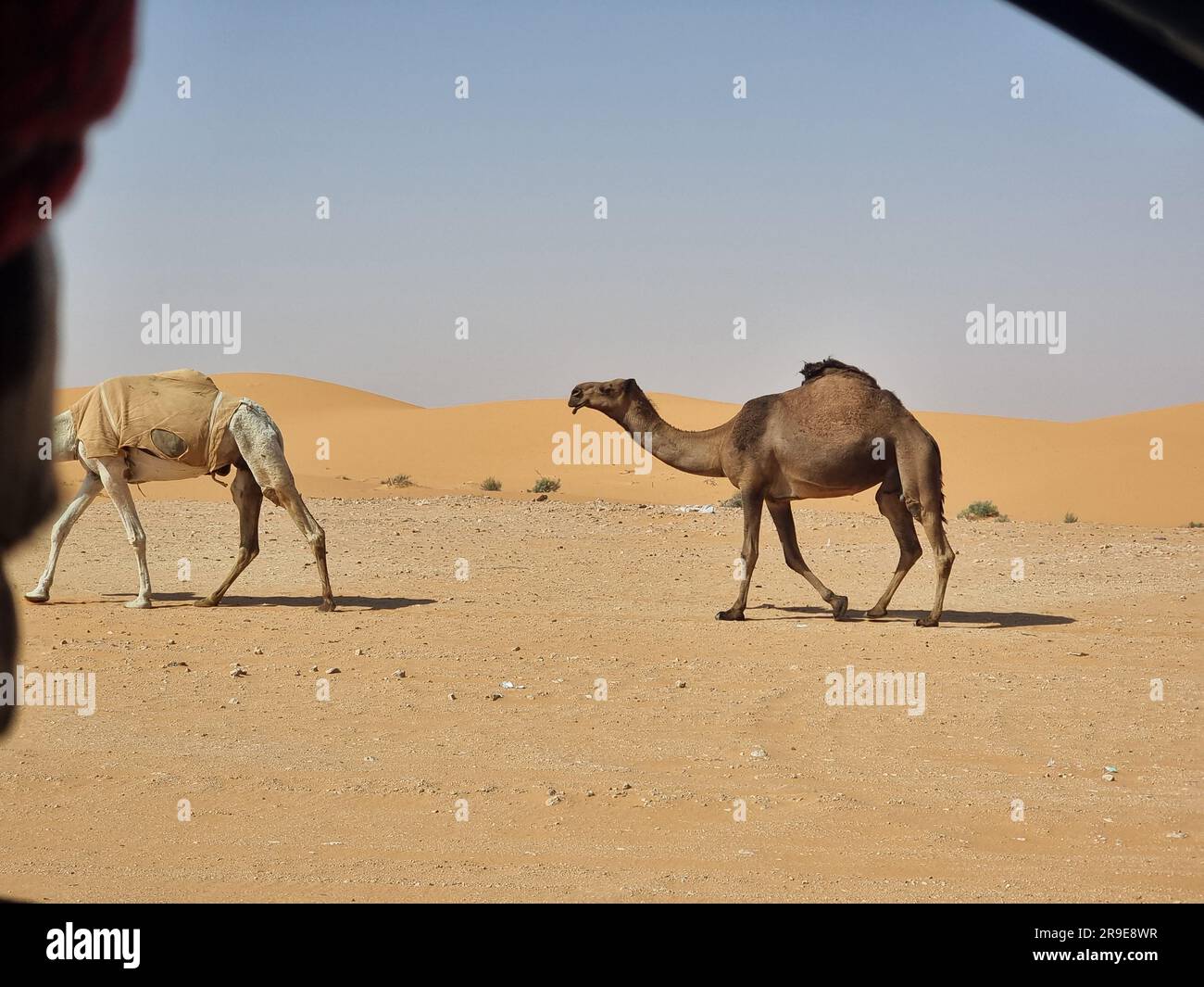 Saudi arabia hot weather hi-res stock photography and images - Alamy