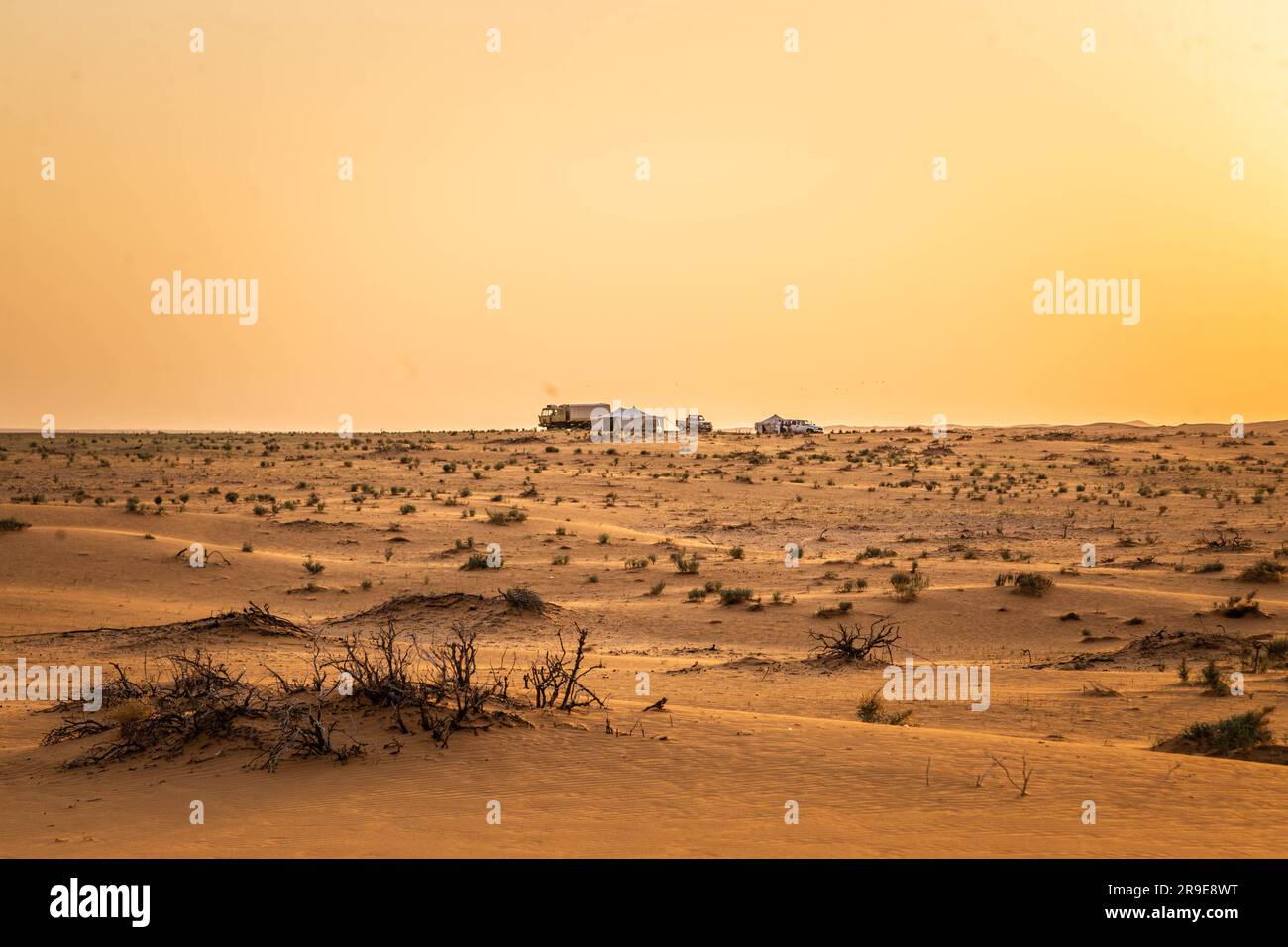 A closeup of a beautiful landscape of a desert on a sunny, hot day in ...