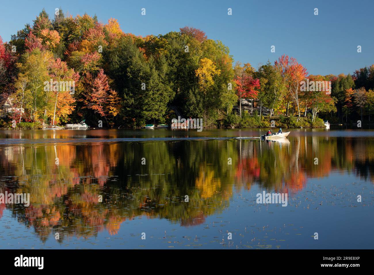 Washington vt hi-res stock photography and images - Alamy