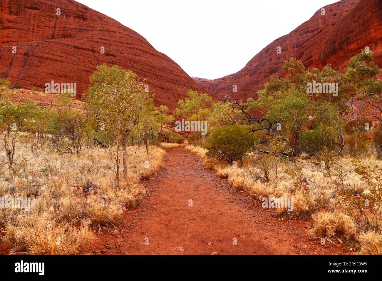 Discover ayers rock hi-res stock photography and images - Alamy