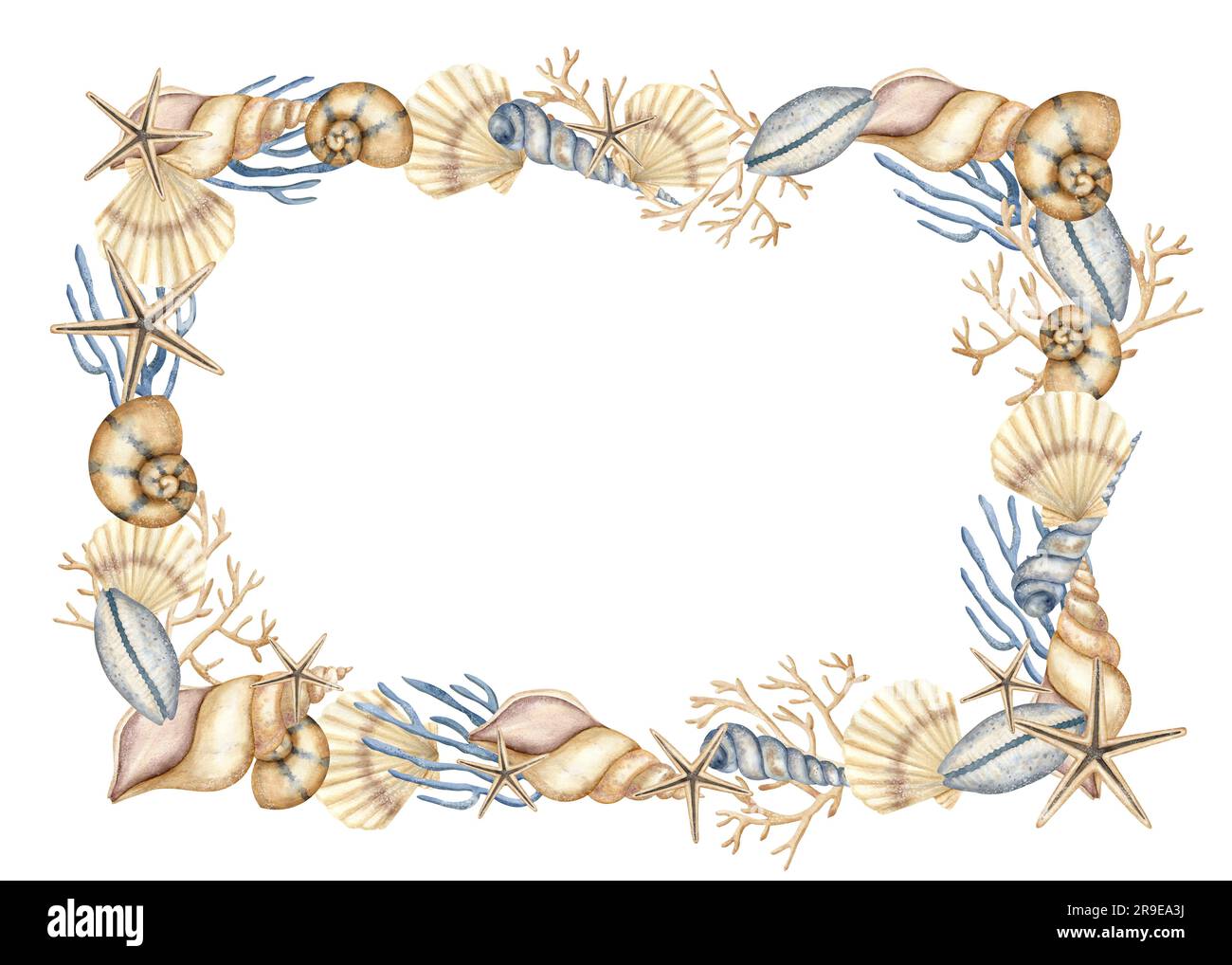 Seashell Rectangular Frame. Hand drawn watercolor illustration of ...