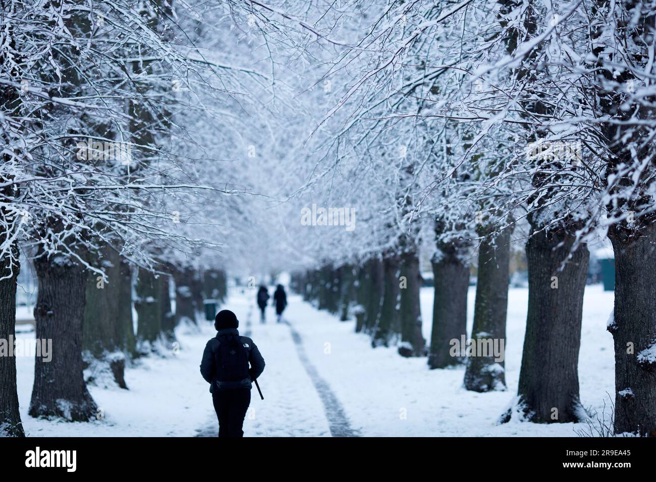 Weather pedestrians trees hi-res stock photography and images - Alamy
